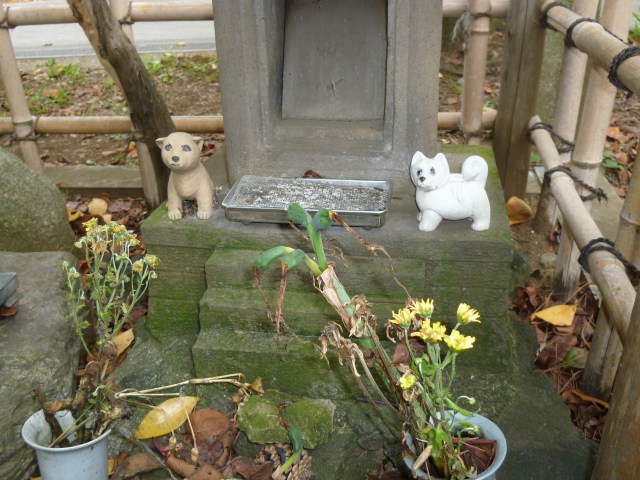 New Hachikō Statue In Tokyo | Tokyo Fox (東京狐)