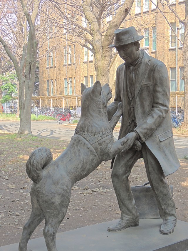 New Hachikō Statue In Tokyo | Tokyo Fox (東京狐)