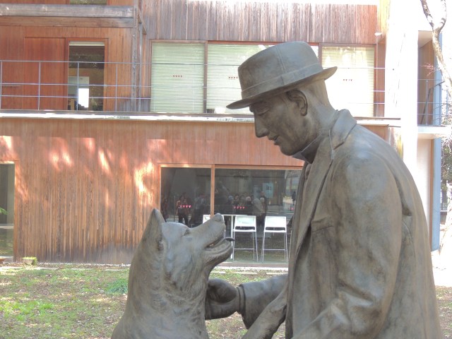 New Hachikō Statue In Tokyo | Tokyo Fox (東京狐)