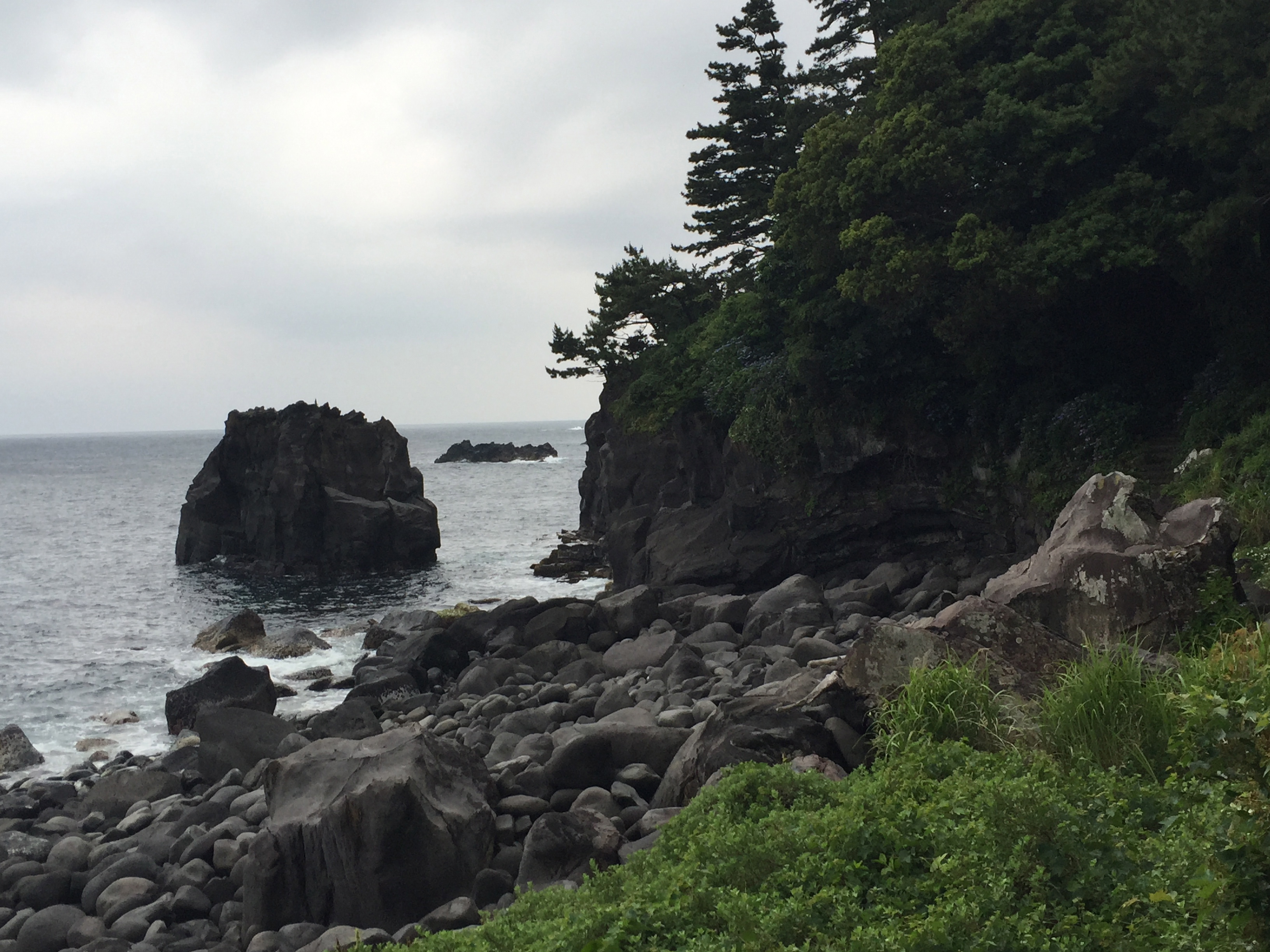 Jogasaki Kaigan Coast | Tokyo Fox (東京狐)