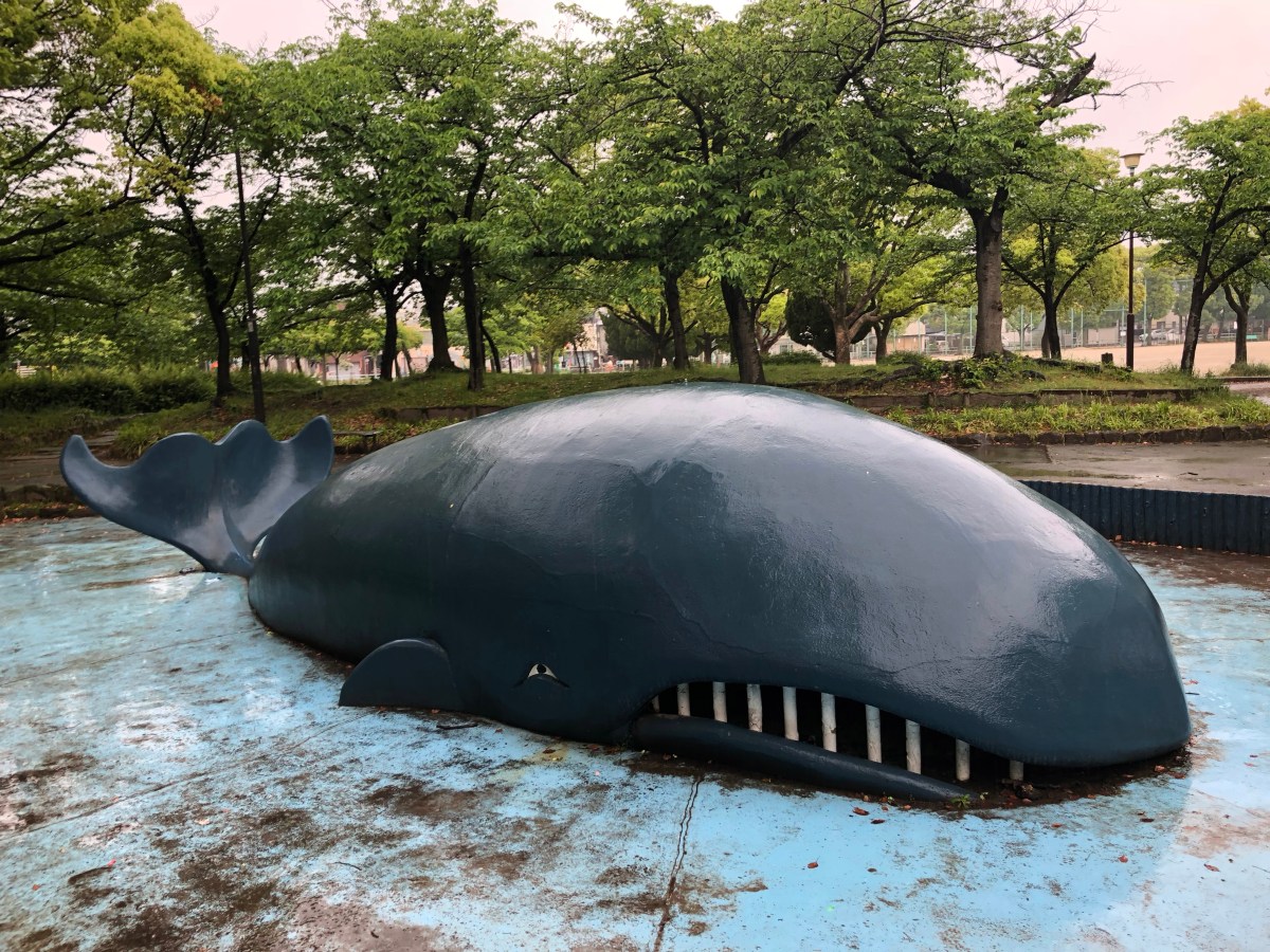 Interesting Japanese Playground Structures #13 – Whale Park | Tokyo Fox ...