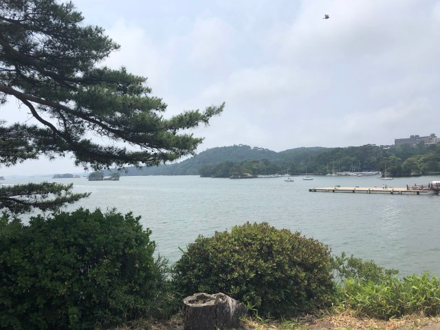 A Quick Trip To Matsushima Bay | Tokyo Fox (東京狐)