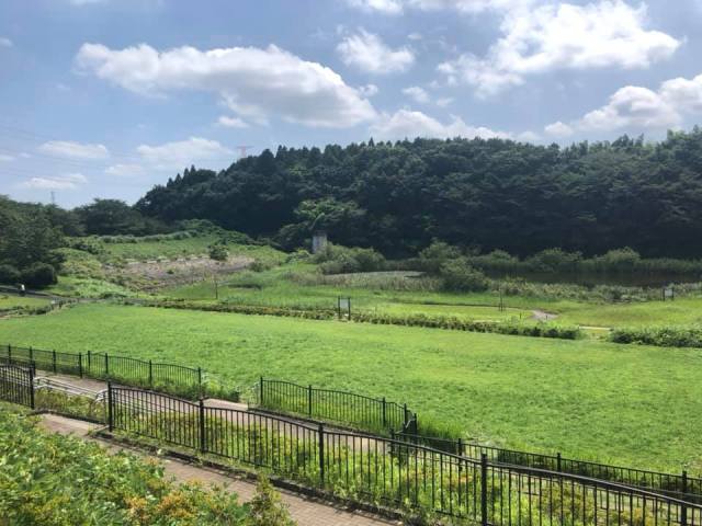 The Japanese Town Which Has It’s Own Local Rail Line | Tokyo Fox (東京狐)