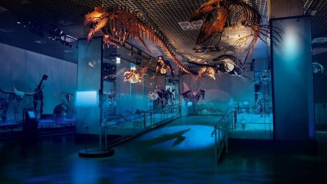 TF Top 10……Must-See Dinosaur-Related Places In Japan | Tokyo Fox (東京狐)