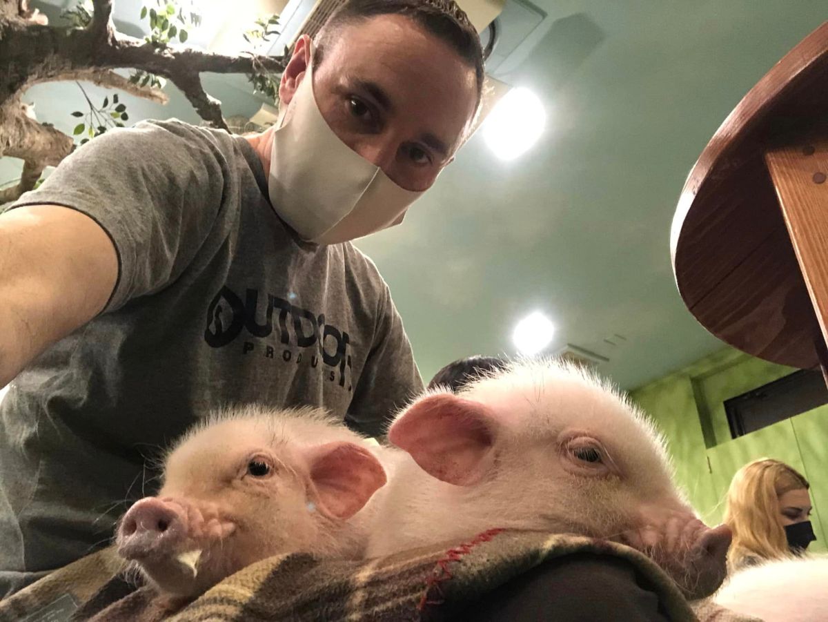 This Piglet Cafe in Tokyo Makes You Squeal With Joy! | Tokyo Fox (東京狐)