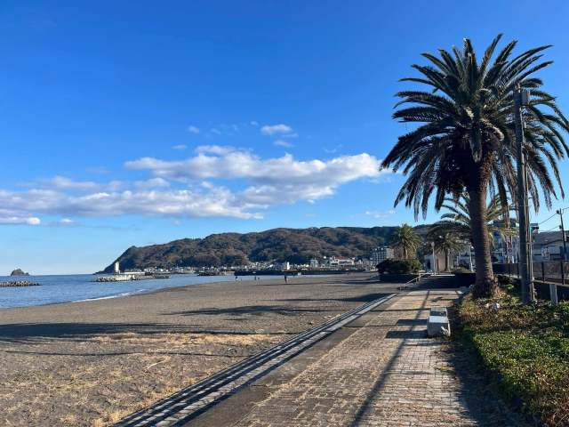7 Nights In Izu: Is The Picture Postcard Cinder-Cone Mountain Becoming ...