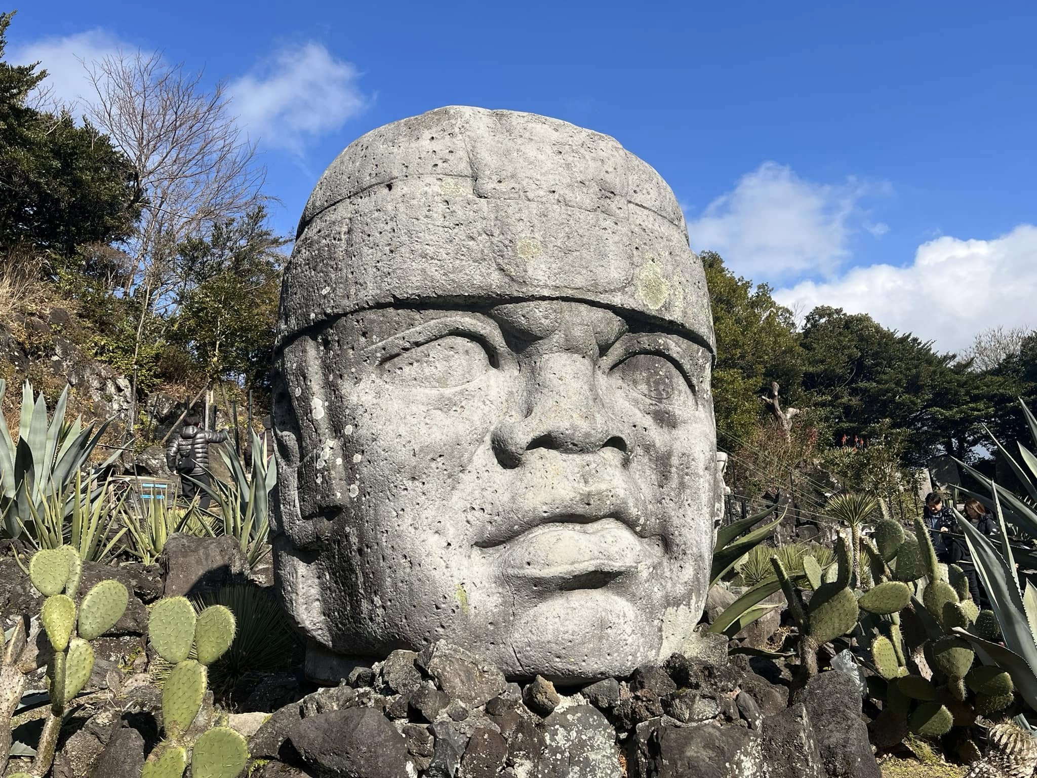 Izu Shaboten Zoo #17 | Tokyo Fox (東京狐)