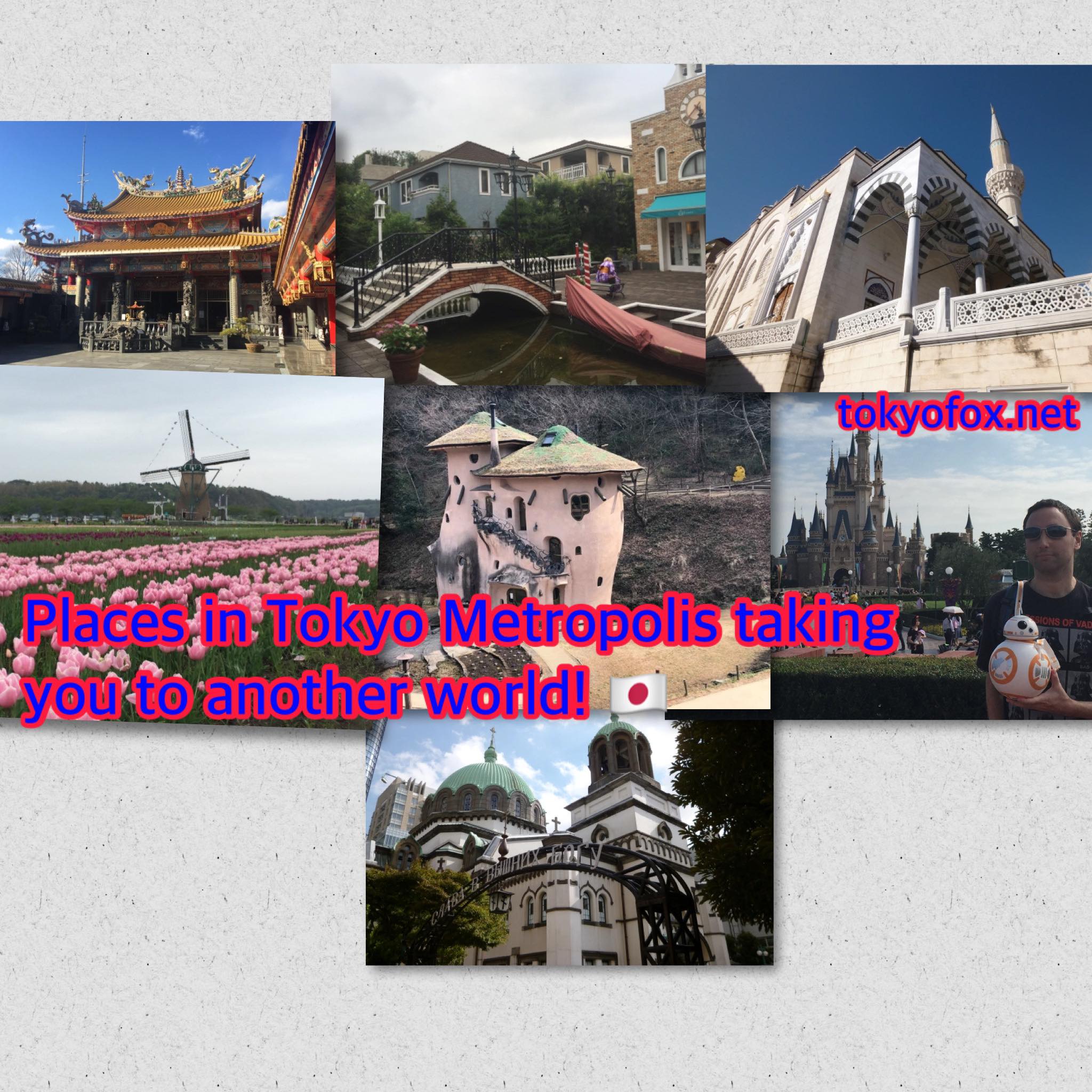 TF Top 10……Places In Tokyo Metropolis Taking You To Another World ...
